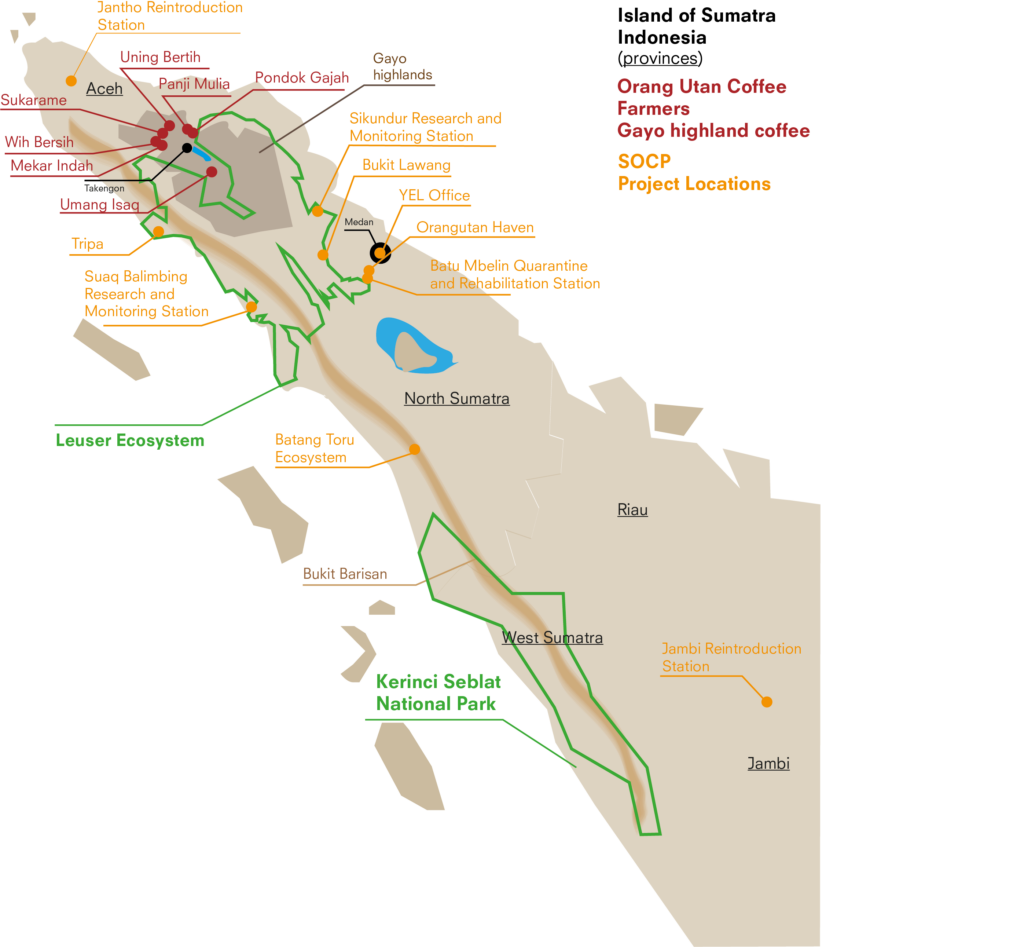 Our farmer groups - Orang Utan Coffee